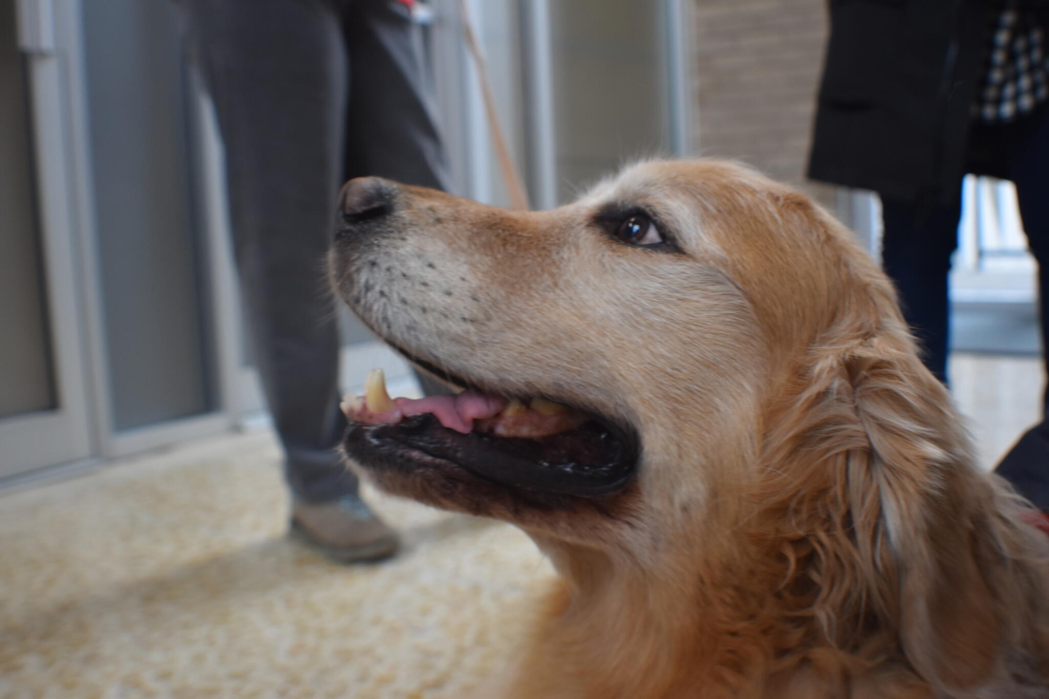 06-04-2017 - imgpile