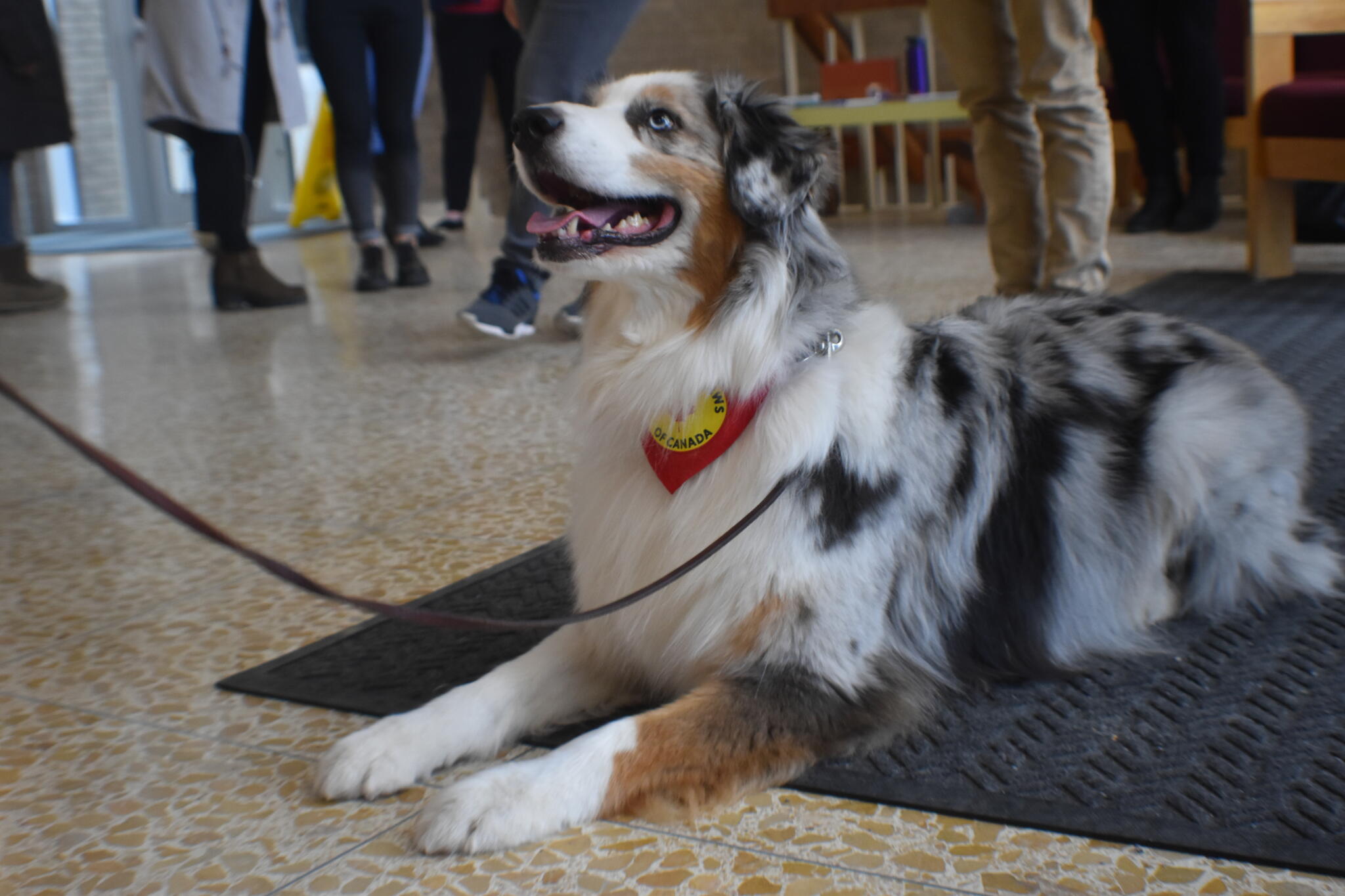 06-04-2017 - imgpile