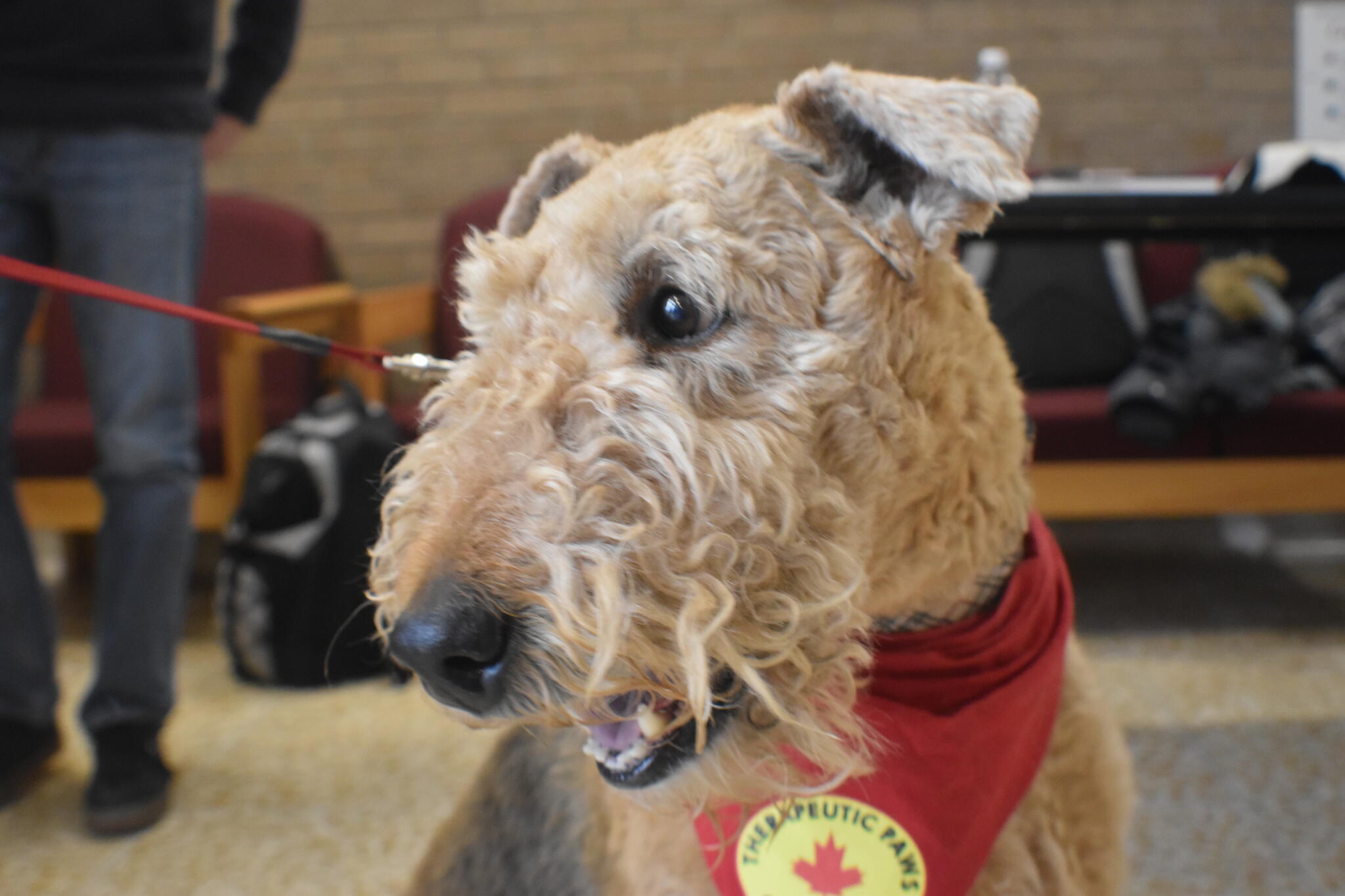 06-04-2017 - imgpile