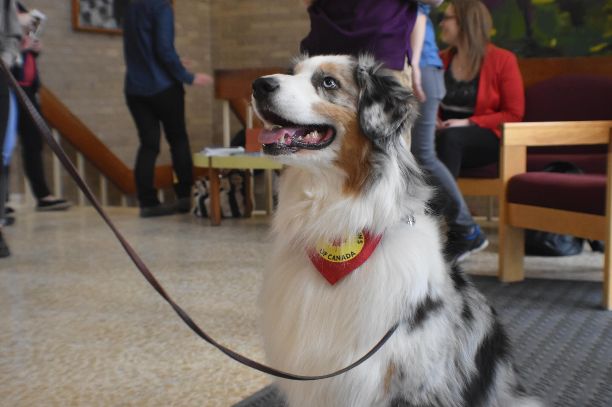 06-04-2017 - imgpile