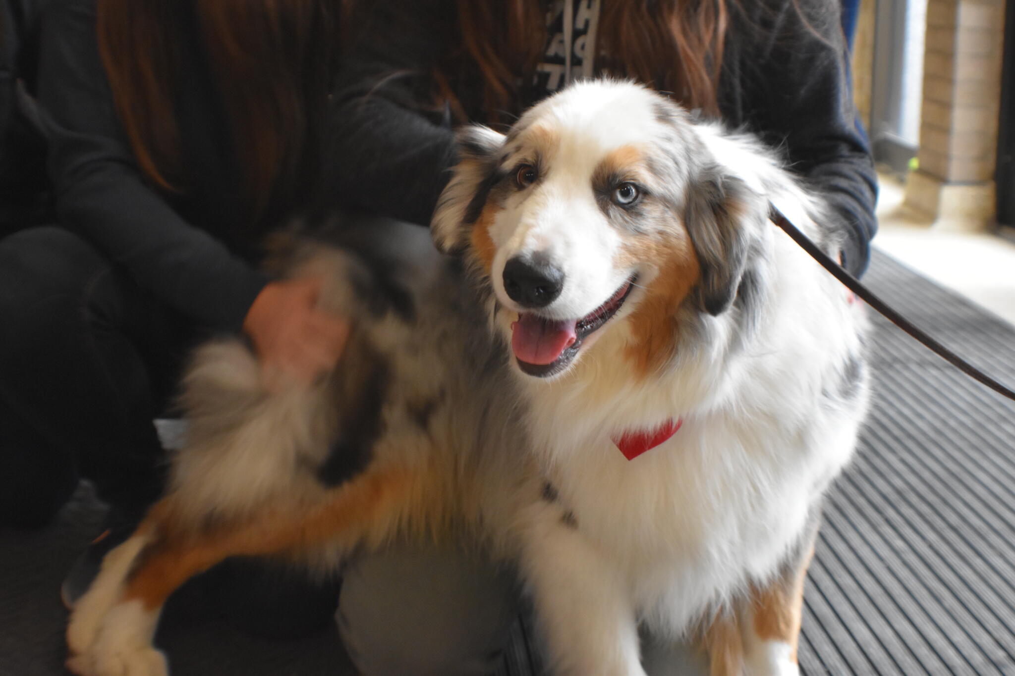 06-04-2017 - imgpile