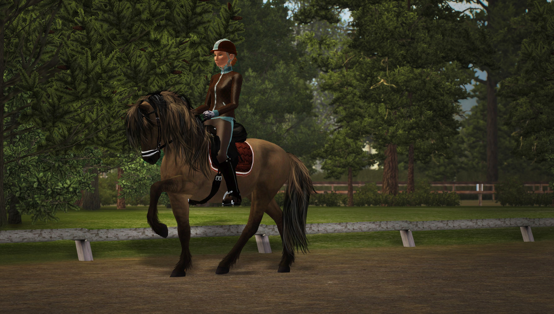 Everyday life - imgpile